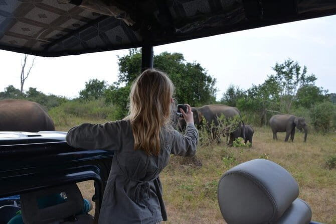 Exclusive : Udawalawe Safari & Elephant Transit Visit with Lunch - Who Should Consider This Tour?