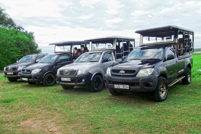 Exclusive : Udawalawe Safari & Elephant Transit Visit with Lunch - The Sum Up: Is This Tour Worth Your Time?