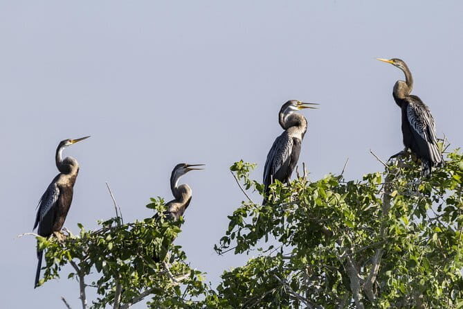 Exclusive : Udawalawe Safari & Elephant Transit Visit with Lunch - FAQs