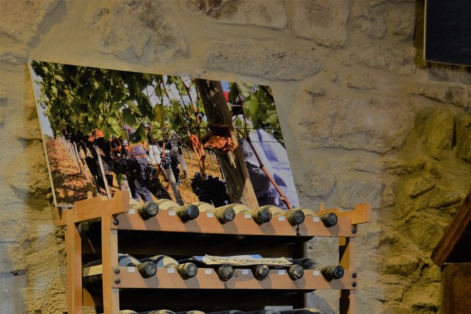 Exclusive Val d'Orcia Tour from Florence - A cinematic universe - Who Should Consider This Tour?