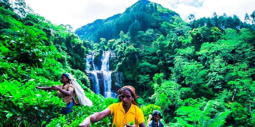 Exclusive : Village Trekking Tour at Ramboda - An In-Depth Look at the Ramboda Village Trekking Experience