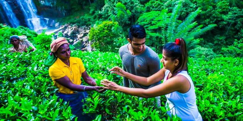 Exclusive : Village Trekking Tour at Ramboda - Final Thoughts