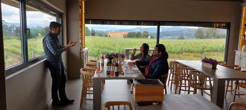 Exclusive Vinho Verde (Green Wine) experience & lunch - Final Verdict
