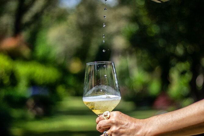 Exclusive Vinho Verde (Green Wine) experience & lunch - A Deep Dive Into the Vinho Verde Tour