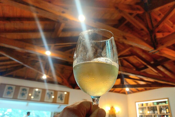 Exclusive Vinho Verde (Green Wine) experience & lunch - The Sum Up: Is This Tour Right for You?