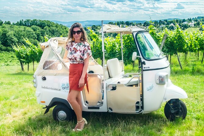 Exclusive VIP Top 10 Tour Vienna in Tuk Tuk - Optional Food and Wine Add-On