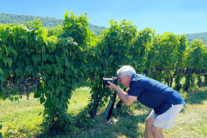 Exclusive Virginia Wine Country Day Trip Tour - Bozzo Family Vineyards