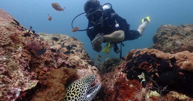 Exclusive Whale & Dolphin Tours in Sri Lanka: Trincomalee - Final Thoughts