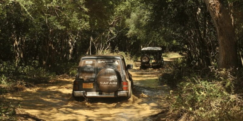 Exclusive : Wildlife Full Day Adventure in Wilpattu - Key Points