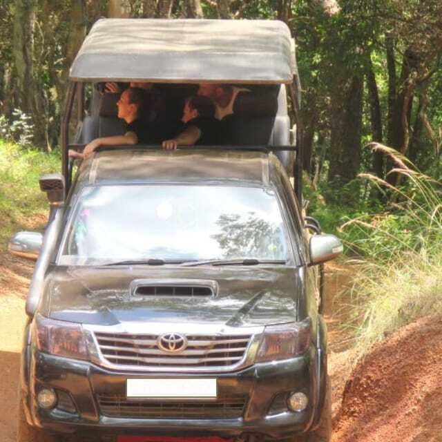 Exclusive : Wildlife Full Day Adventure in Wilpattu - Final Thoughts