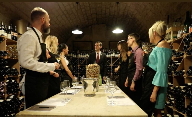 Exclusive Wine Day Trip Loire Valley from Paris - What We Love and Consider
