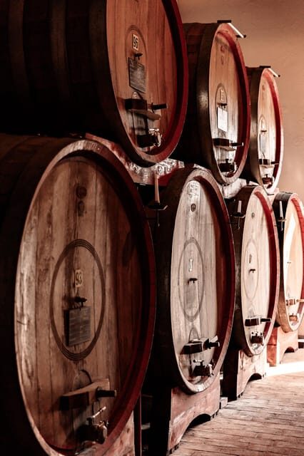 Exclusive Wine Experience: Venetian Best Vineyards - An In-Depth Look at the Tour