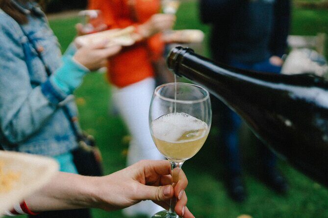Exclusive Wine Tasting in Valpolicella, Verona - The Sum Up