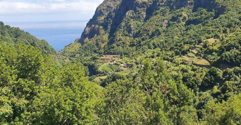 Exclusive Wine Tasting Tour in the Wine Region of Boaventura - The Wine and Food Pairings