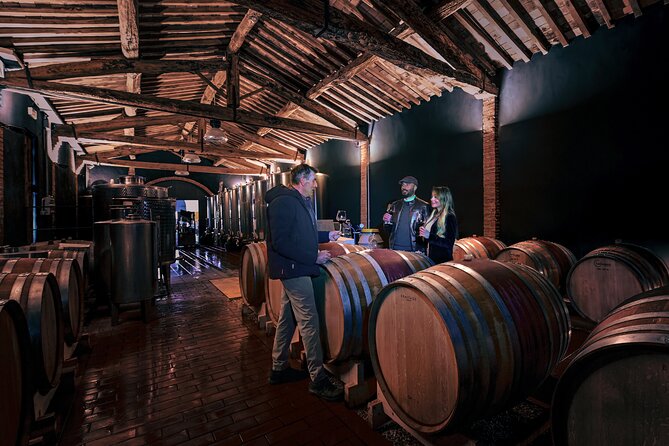 Exclusive Wine Tour and Tasting Experience in Siena - Practical Details and Overall Value