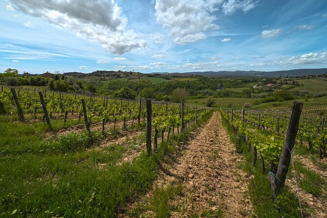 Exclusive Wine Tour and Tasting Experience in Siena - The Sum Up