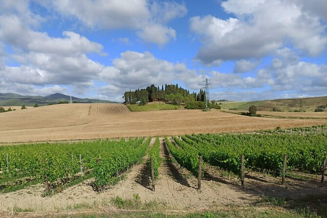 EXCLUSIVE Wine Tour in Chianti & San Gimignano (Lunch & Wine Tasting included) - Why This Tour Offers Good Value
