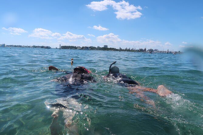 Exclusively Private Snorkel Adventures Training & Tours Ultimate - Why We Love the Personal Touch and Marine Magic