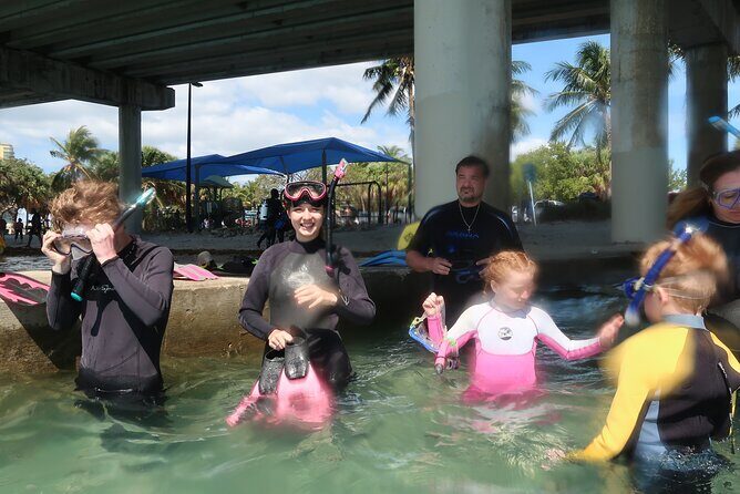 Exclusively Private Snorkel Adventures Training & Tours Ultimate - Authentic Feedback from Participants