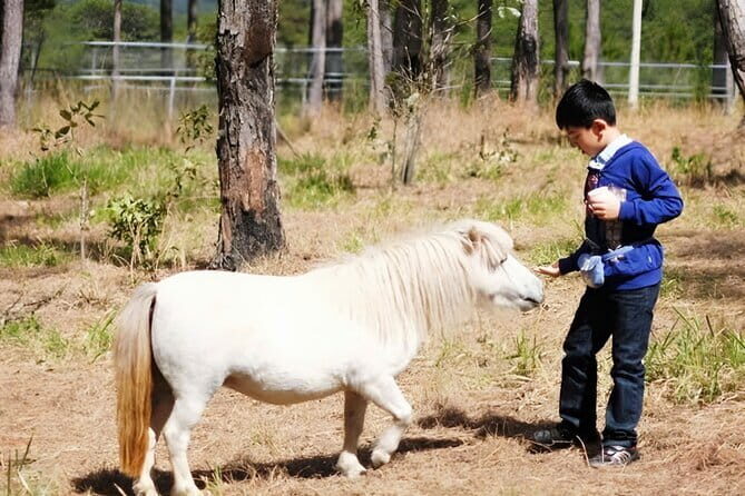 Excursion Da Lat Zoo Doo Tour - Exploring the Da Lat Zoo Doo Tour: An Authentic Day Out in Vietnam’s Highland Town