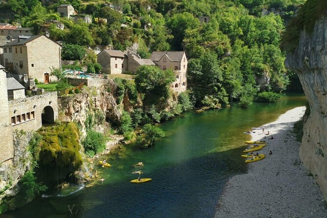 Excursion Gorges du Tarn and Causses in the morning - Who Would Enjoy This Tour?