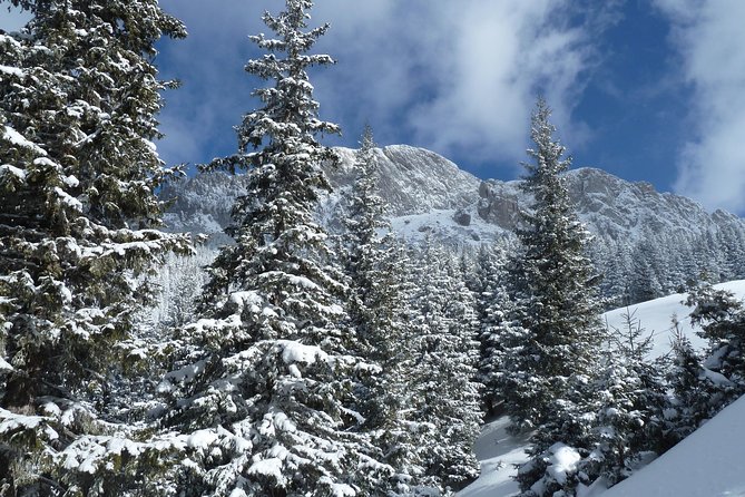 Excursion in Moeciu De Sus (Recommended for Families) With a Native Spanish Guide. - Booking and Confirmation