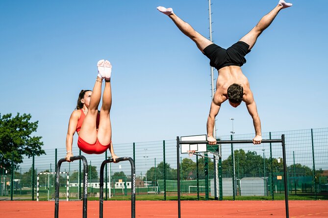 Excursion in Porto for sport lovers - Key Points