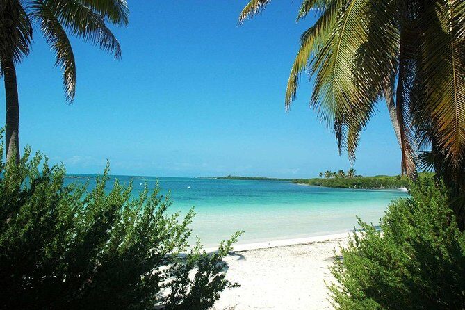 Excursion Isla Contoy & Isla Mujeres from Cancun - Final Thoughts: Is It Worth It?