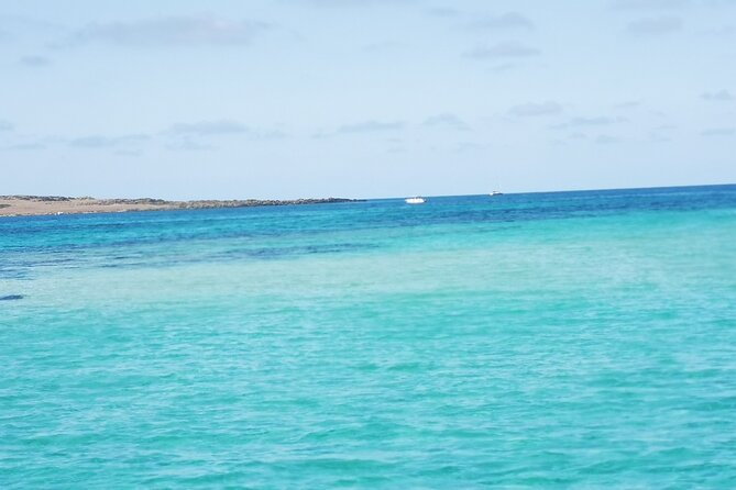 Excursion to Asinara Stintino La Pelosa National Park - Booking Information