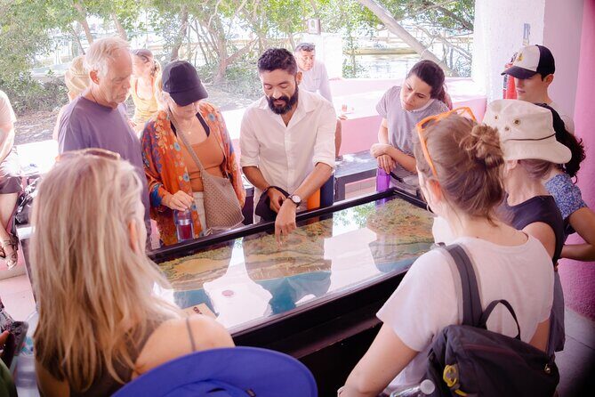 Excursion to Celestun Biosphere and Beach Day from Merida - FAQ