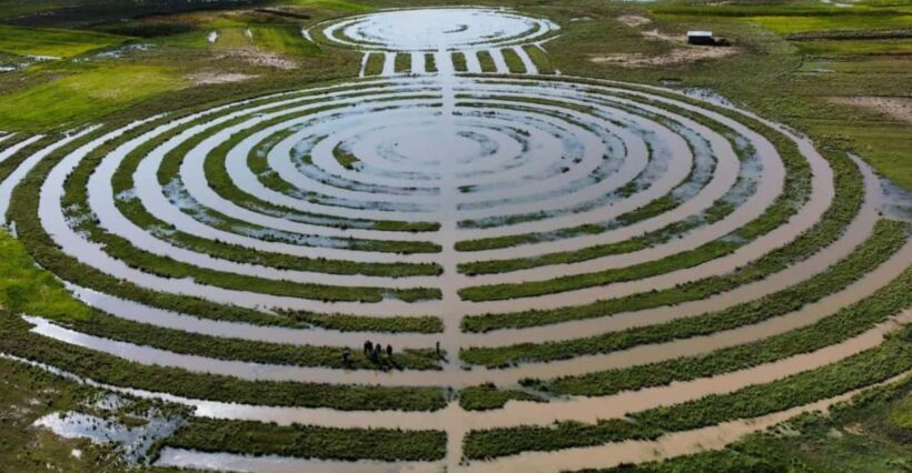 Excursion to Chucuito, Aramu Muru and Juli - An In-Depth Look at the Tour