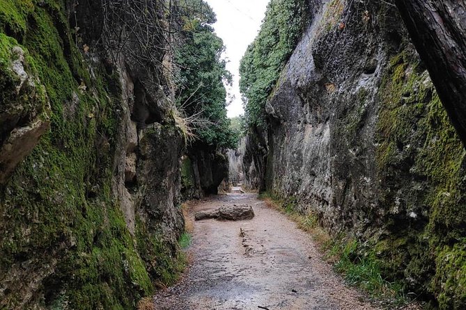 Excursion to Enchanted City and Ventano Del Diablo - Customer Reviews