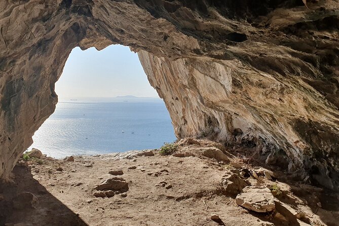 Excursion to Gibraltar with Rock Tour From Malaga - Itinerary Breakdown: What You’ll Experience