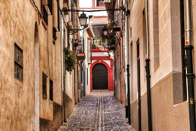 Excursion to Granada from Malaga - Who Should Consider This Tour?