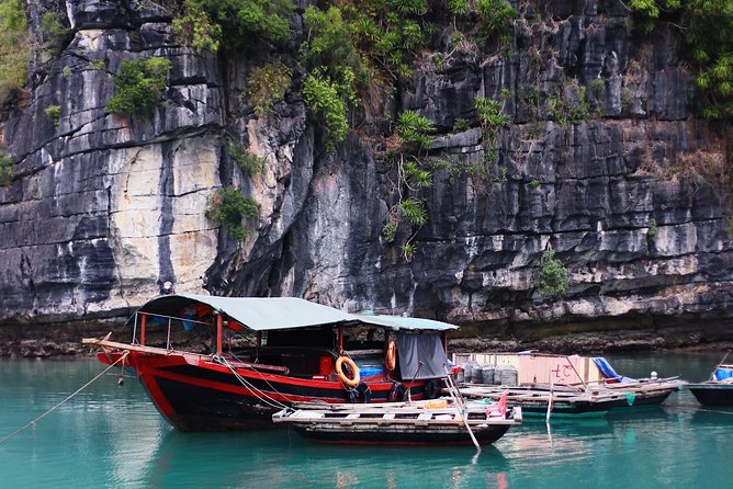 Excursion to Ha Long Bay with Titop Island and kayaking in Luon Cave - Who Should Book This Tour?