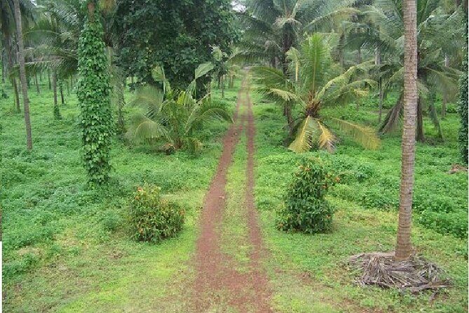 Excursion To Karkala And Moodabidri From Mangalore with Lunch - Who Should Consider This Tour?