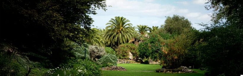 Excursion to Las Palmas: History and Culture - Analyzing the Value