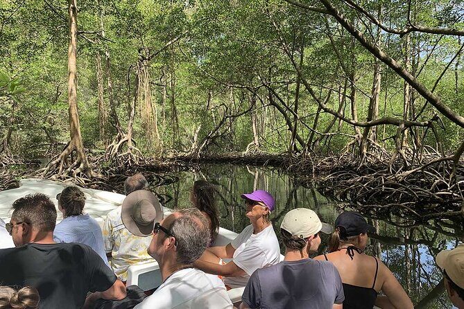 Excursion to Los Haitises and Redonda Mountain - Transportation, Group Size, and Overall Comfort