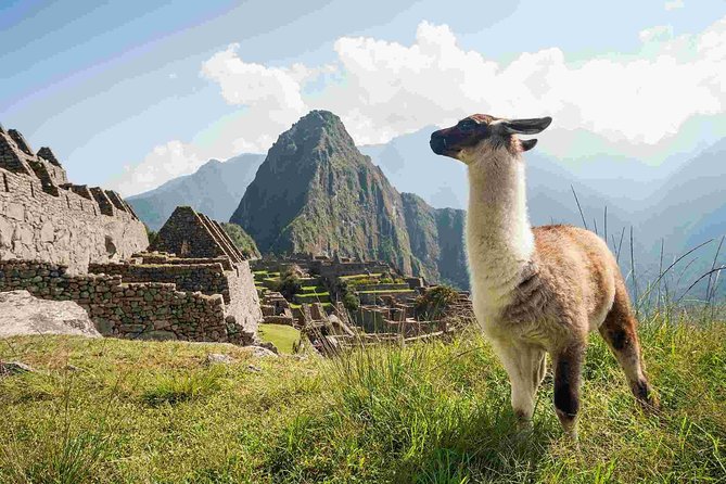 Excursion to Machupicchu From Cusco || Private Service || - Cancellation Policy