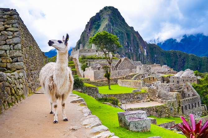 Excursion to Machupicchu With Train Vistadome || Full Day || - Highlights of the Excursion