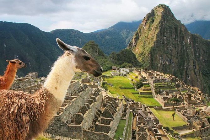 Excursion to Machupicchu With Train Vistadome || Full Day || - Important Considerations