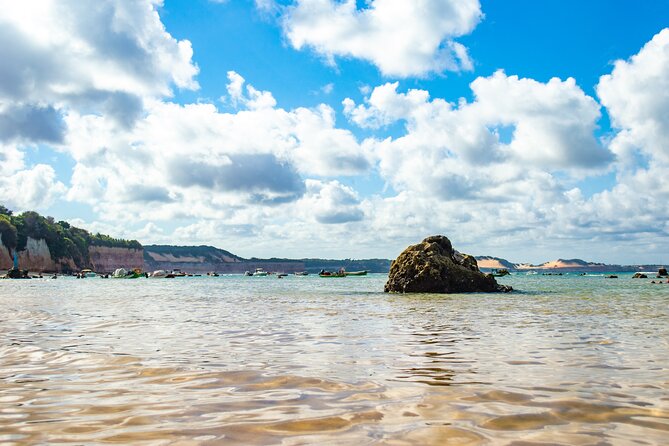 Excursion to Pipa in Rio Grande Do Norte - What to Expect