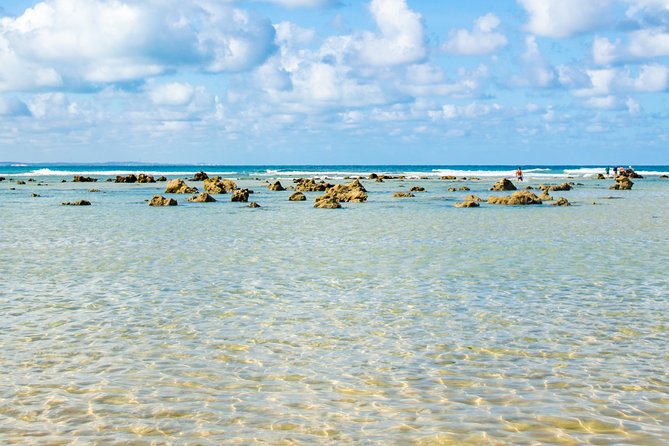 Excursion to Pipa in Rio Grande Do Norte - Wildlife Encounters