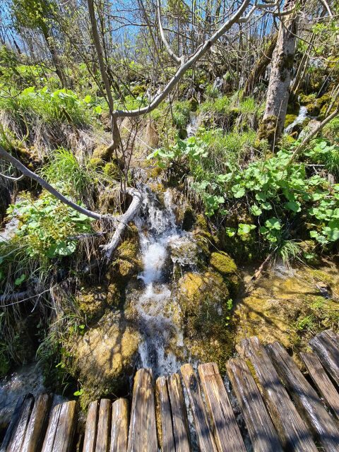 Excursion to Plitvice National Park - Why This Tour Stands Out