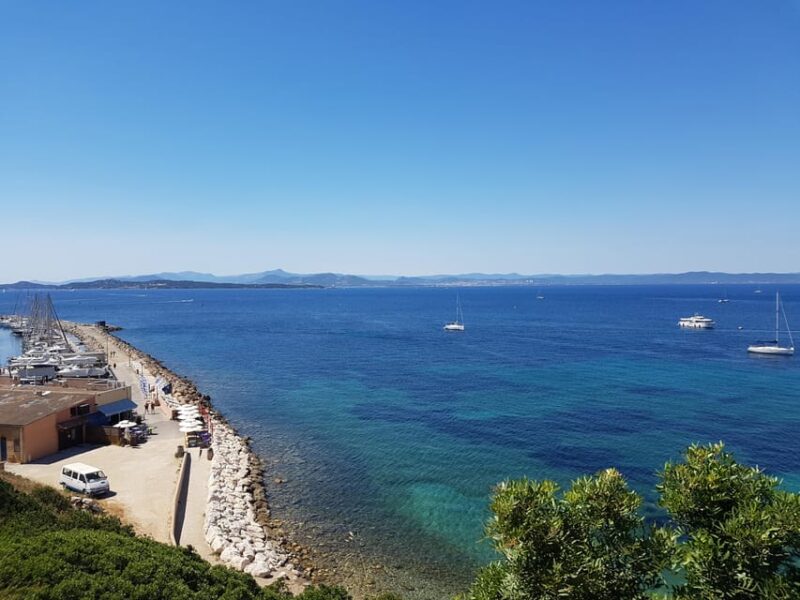 Excursion to Porquerolles Island from Bandol - Who This Tour Is Best For