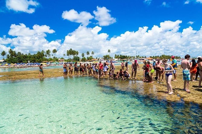 Excursion to Porto De Galinhas in Pernambuco - Tour Details and Inclusions