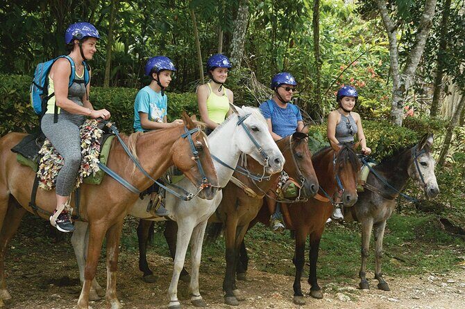 Excursion to Samana El Limón Waterfall and Bacardi Island - Key Points