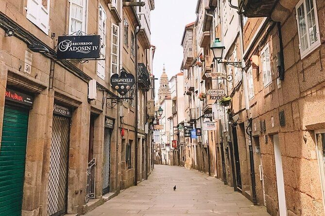 Excursion to Santiago de Compostela for cruises from Coruña - Exploring Santiago de Compostela: A Practical Full-Day Cruise Excursion