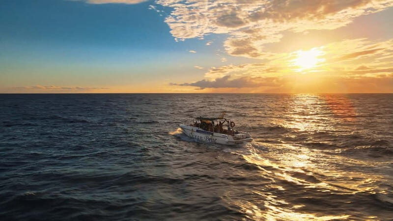 Excursion to see the whales - 3 Hours - Authenticity and Real Experiences