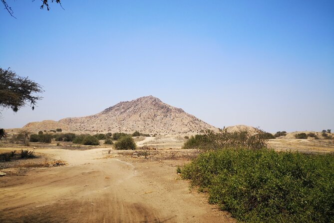 Excursion to Sicán, Túcume Pyramids, and Historic and Monumental Lambayeque. - Pricing and Booking Details